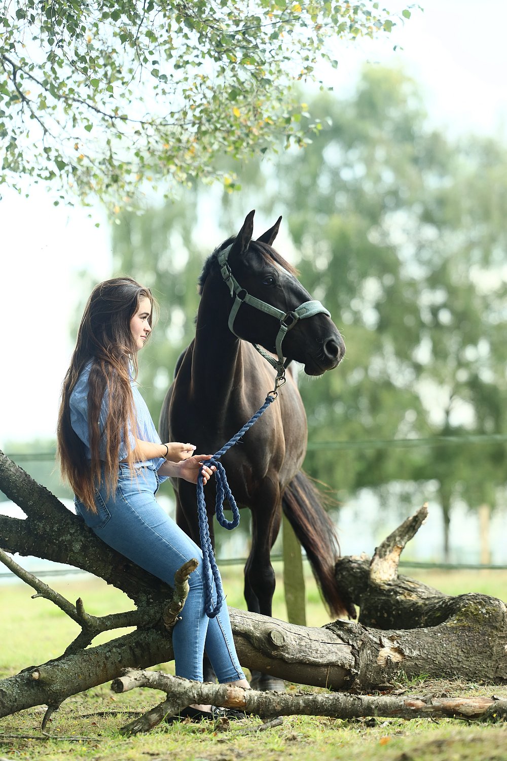 Services & Fees - Stable Minds